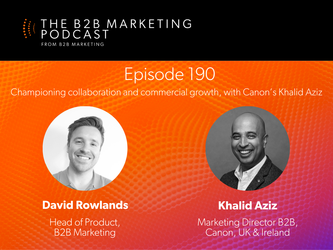 B2B Marketing - Intelligence, data, events, training